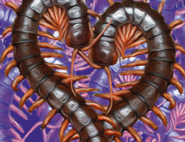 Centipede Heartbeat - Nightmare Magazine